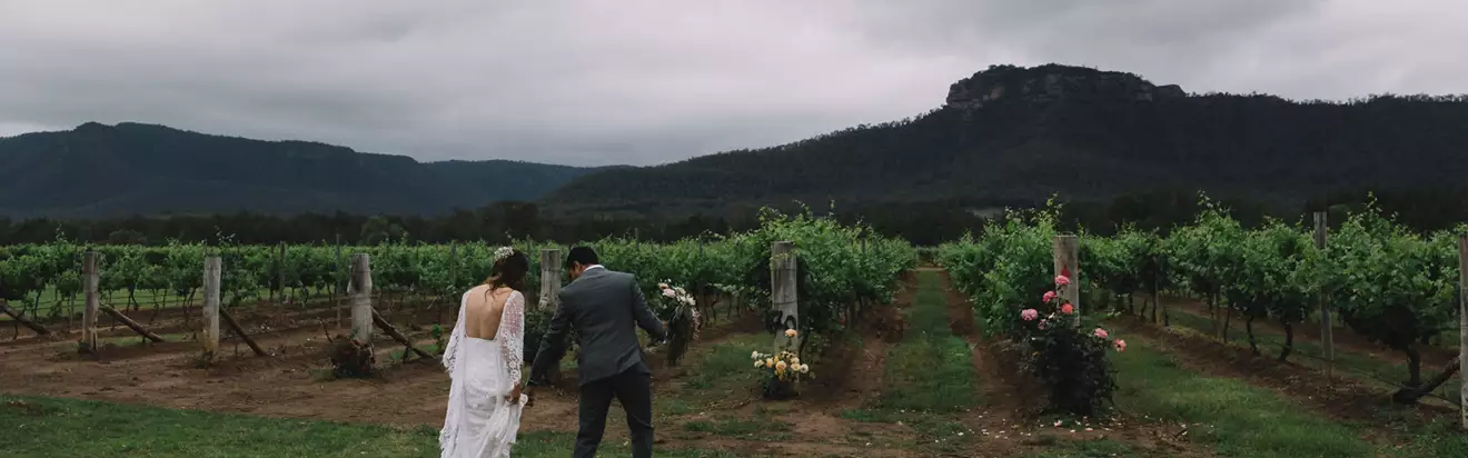 Margan Winery and Restaurant – GoShine Hub