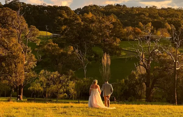 Carlei Estate – GoShine Hub